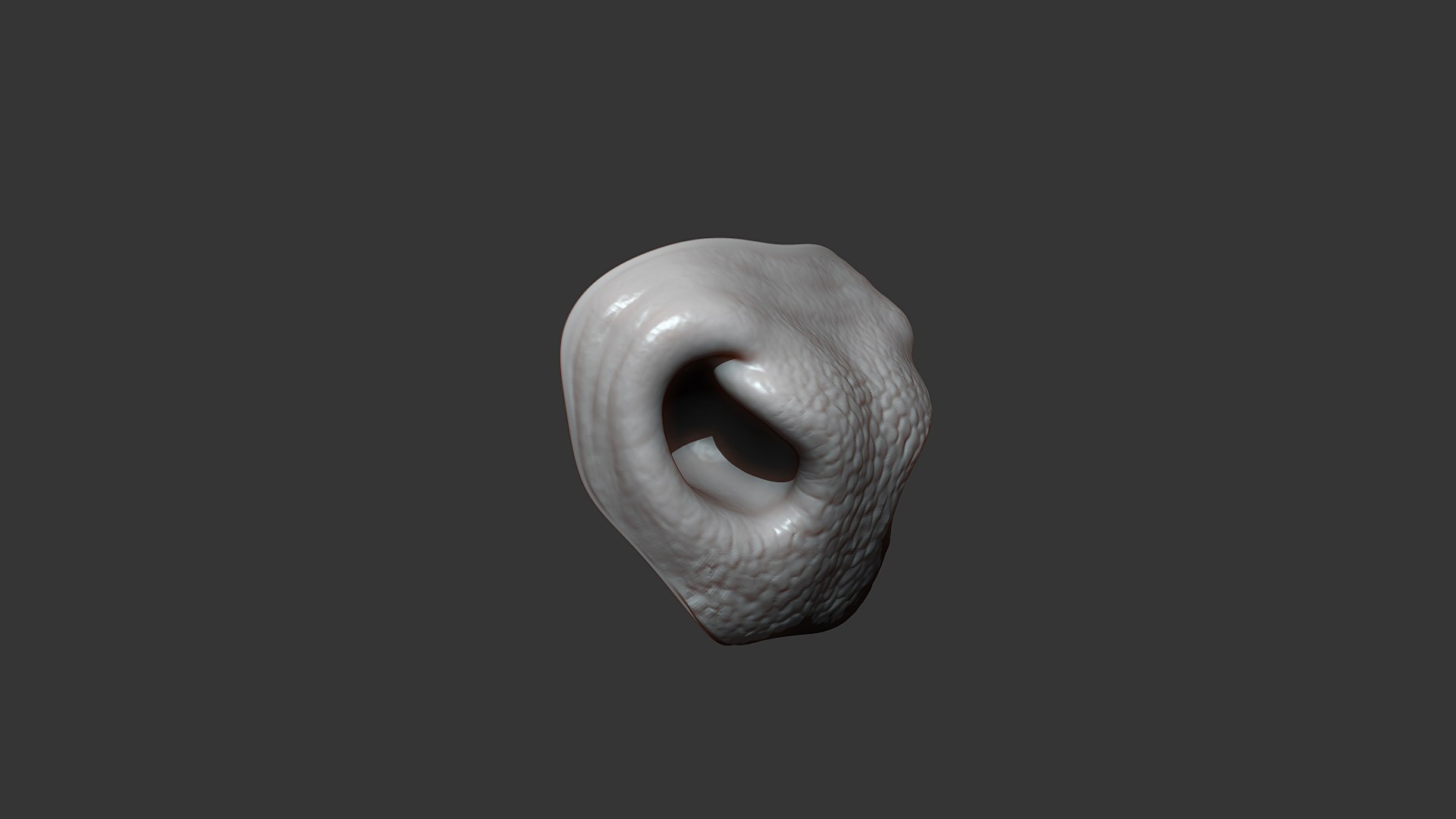 3D Bull Nose Highpoly Sculpt Model - TurboSquid 1809070