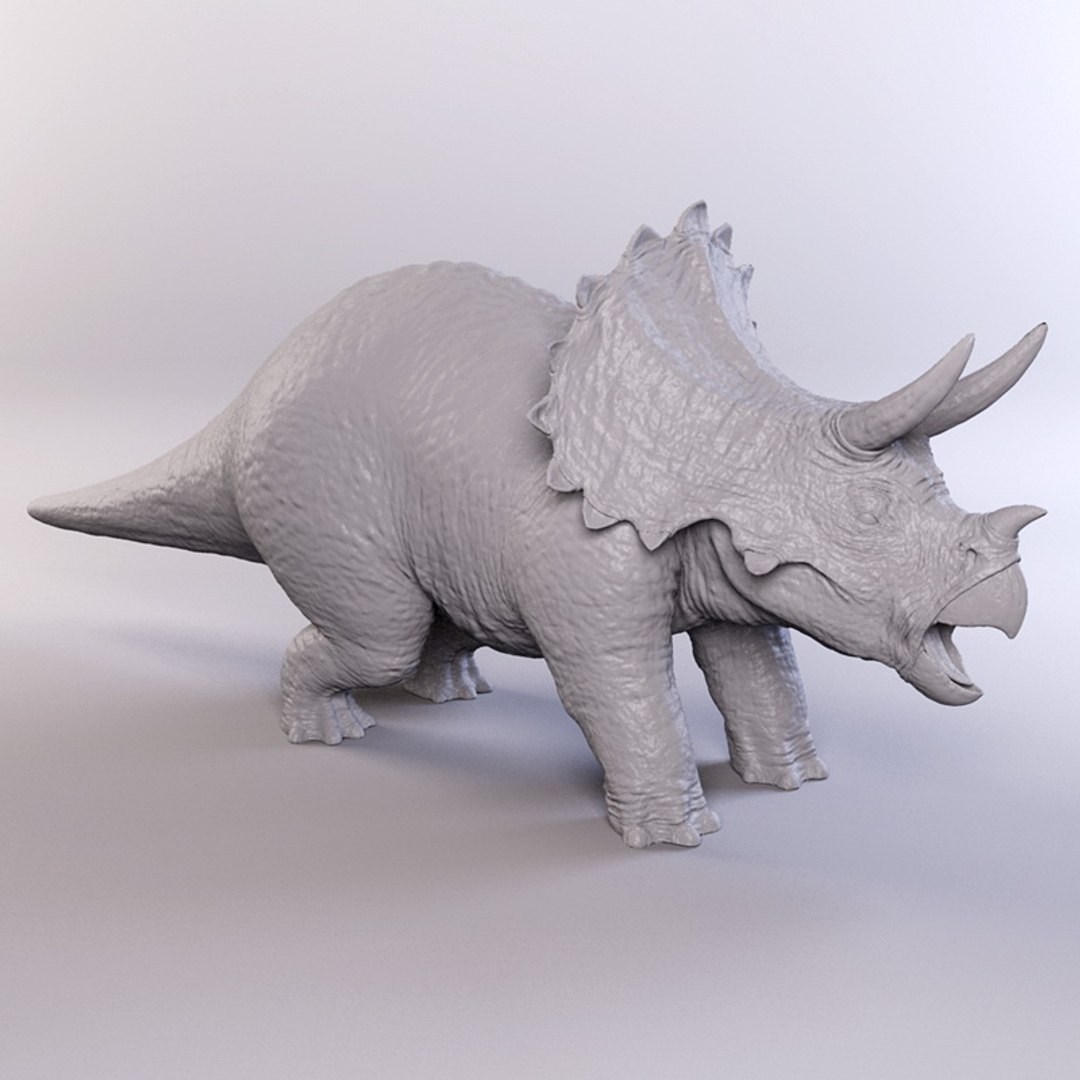 - Animation Head 3d Obj