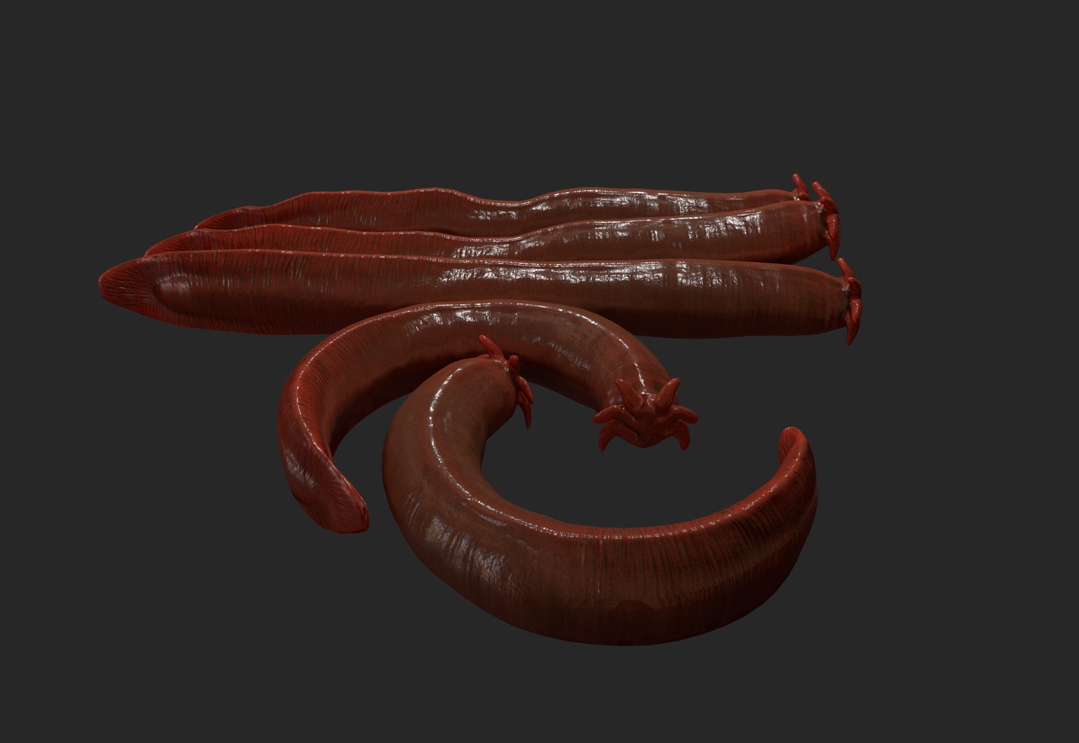 Hagfish Fish 3D Model - TurboSquid 1552225
