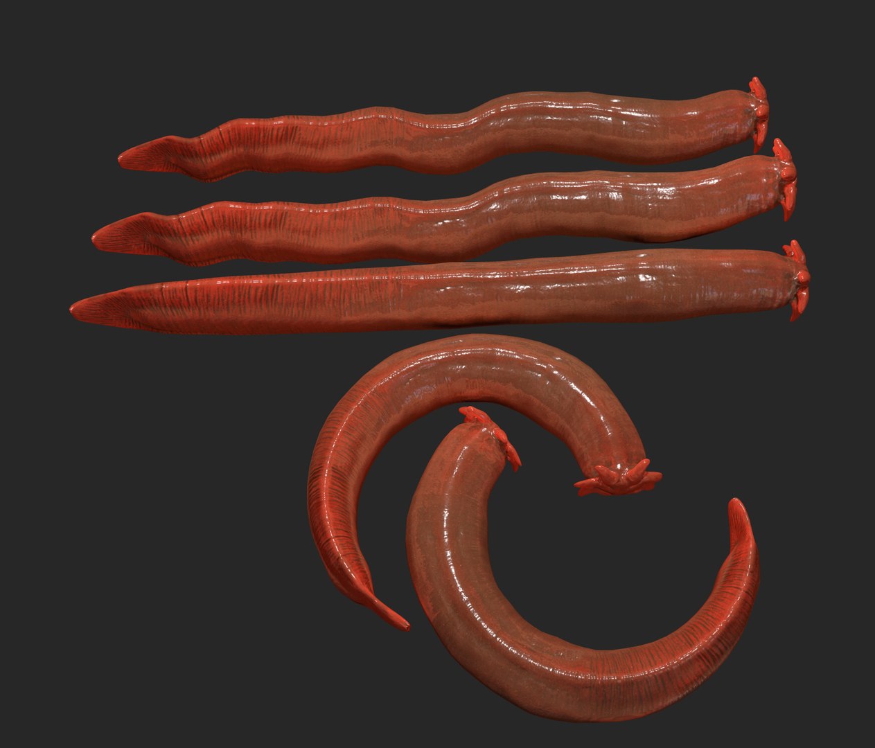 Hagfish Fish 3D Model - TurboSquid 1552225