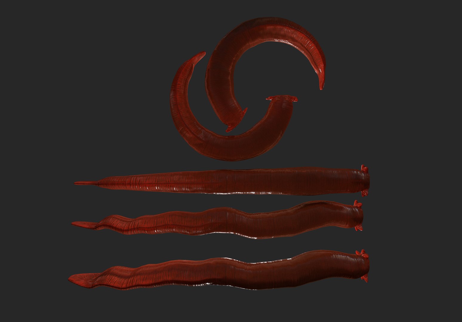 Hagfish Fish 3D Model - TurboSquid 1552225