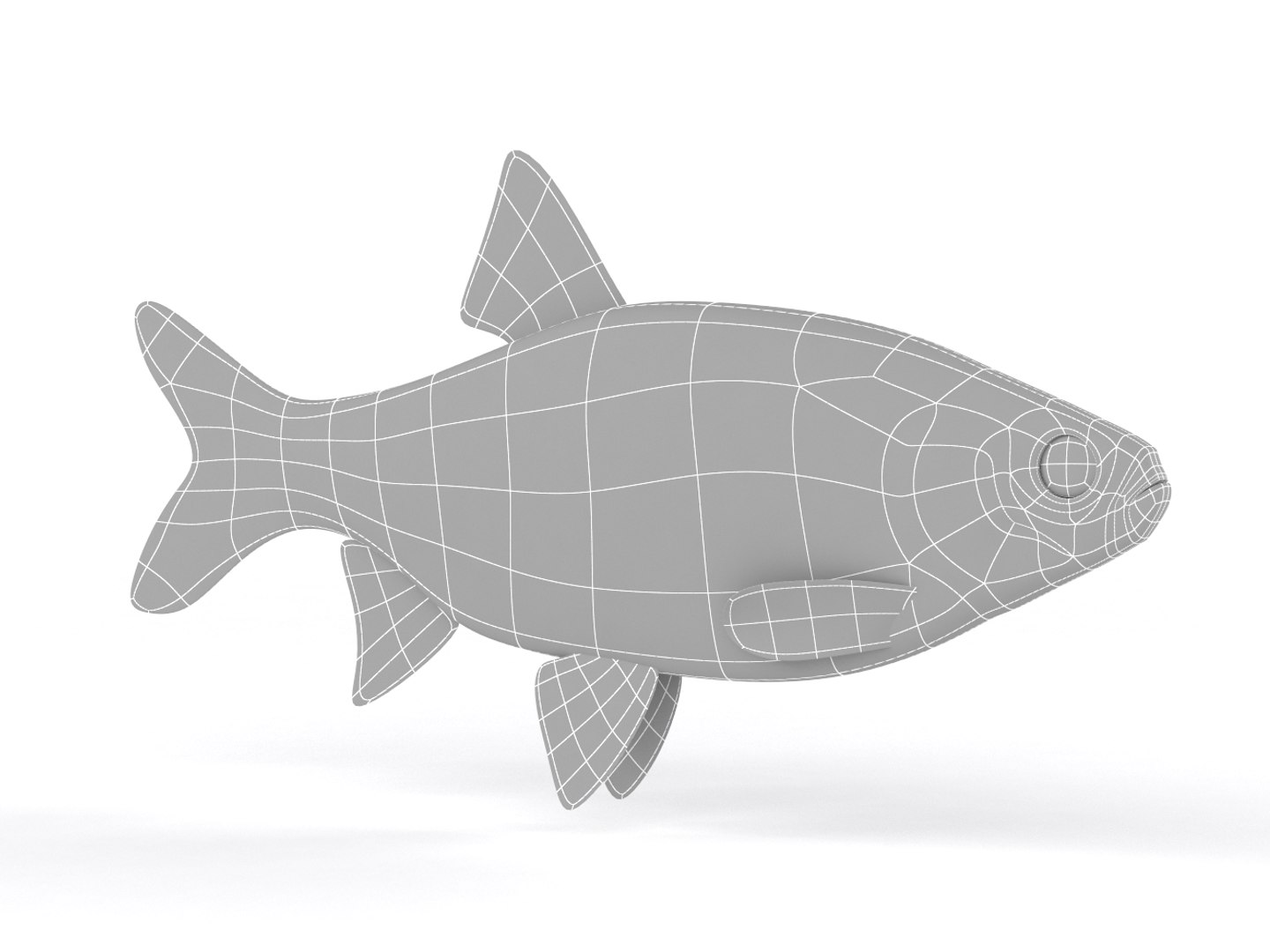 Freshwater Fish 3D Model - TurboSquid 1632057