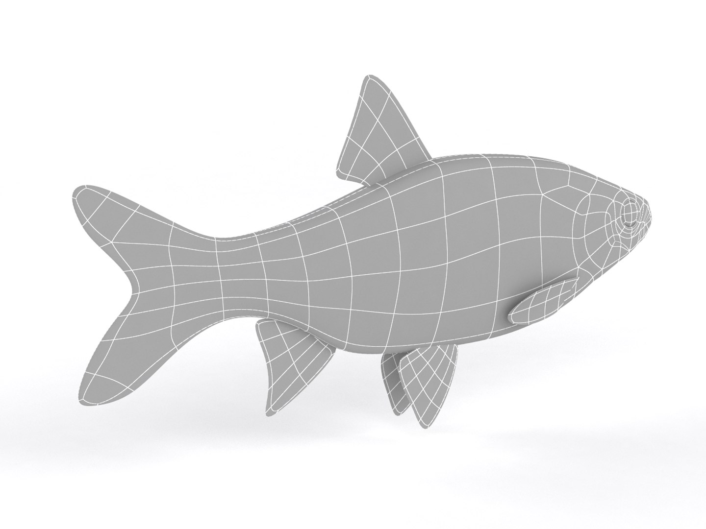 Freshwater Fish 3D Model - TurboSquid 1632057