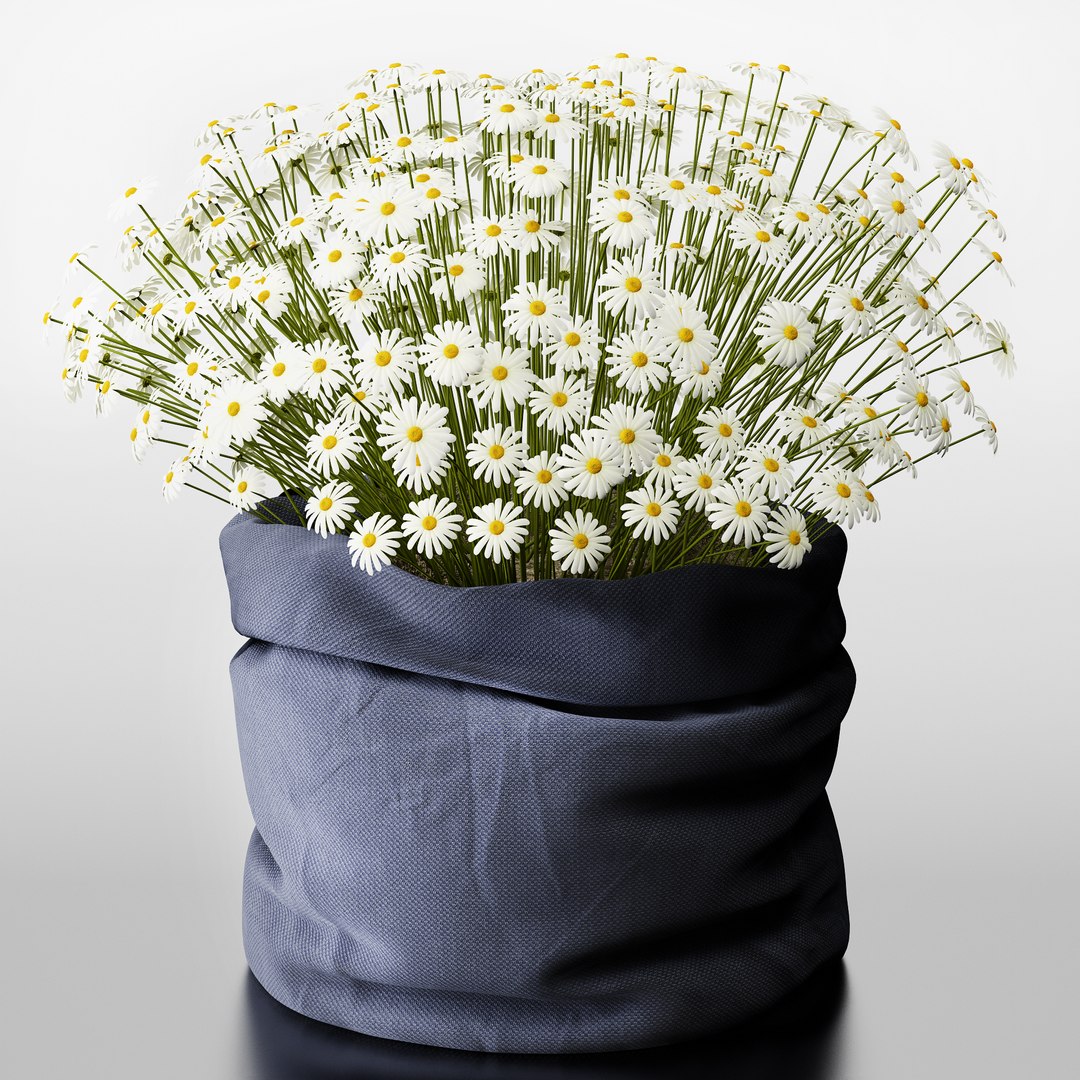 Chamomile Arrangement 3d Model