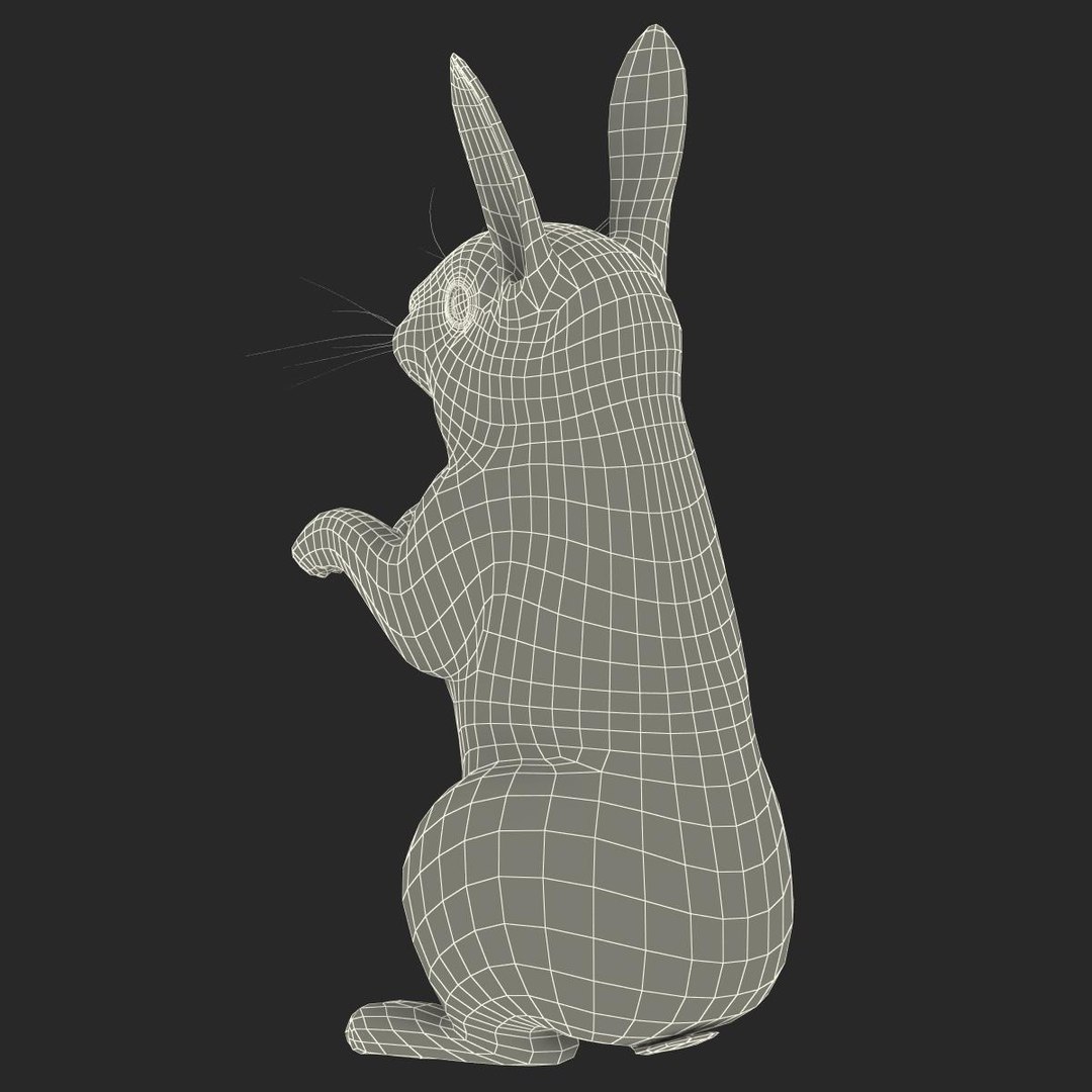Rabbit 2 Fur 3d Model