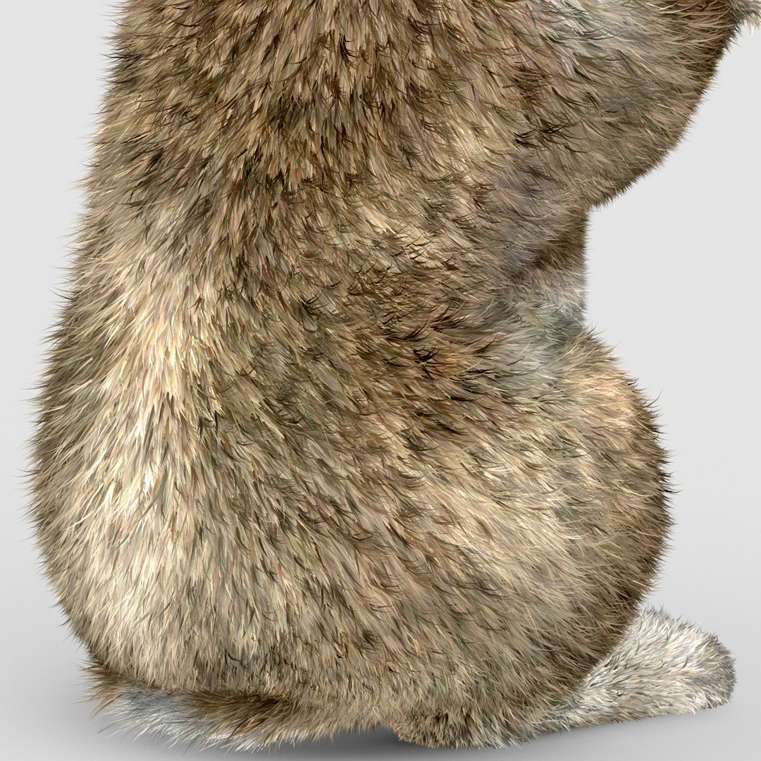 Rabbit 2 Fur 3d Model
