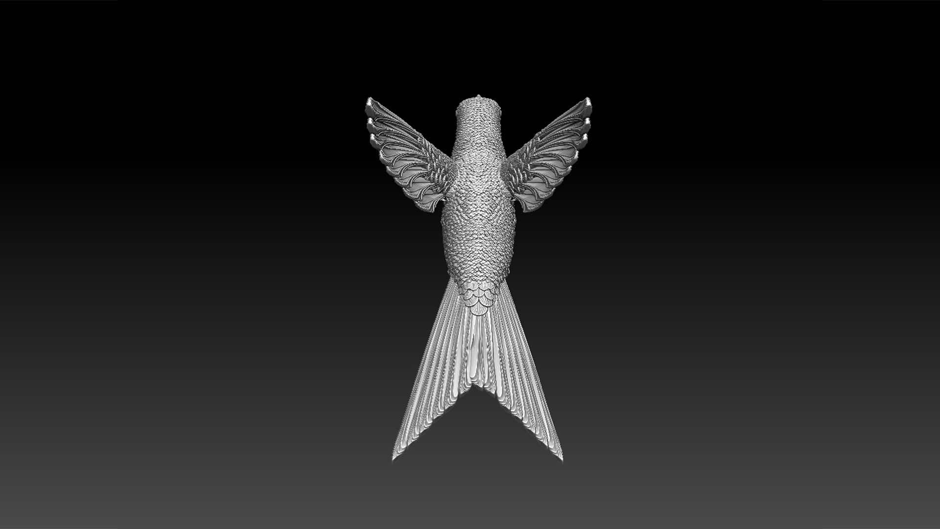 Colibri Humming Bird Model - TurboSquid 1777157
