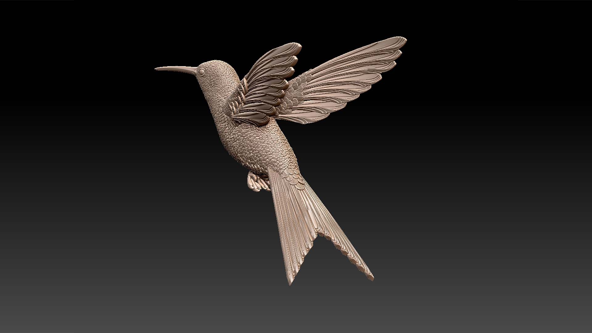 Colibri Humming Bird Model - TurboSquid 1777157