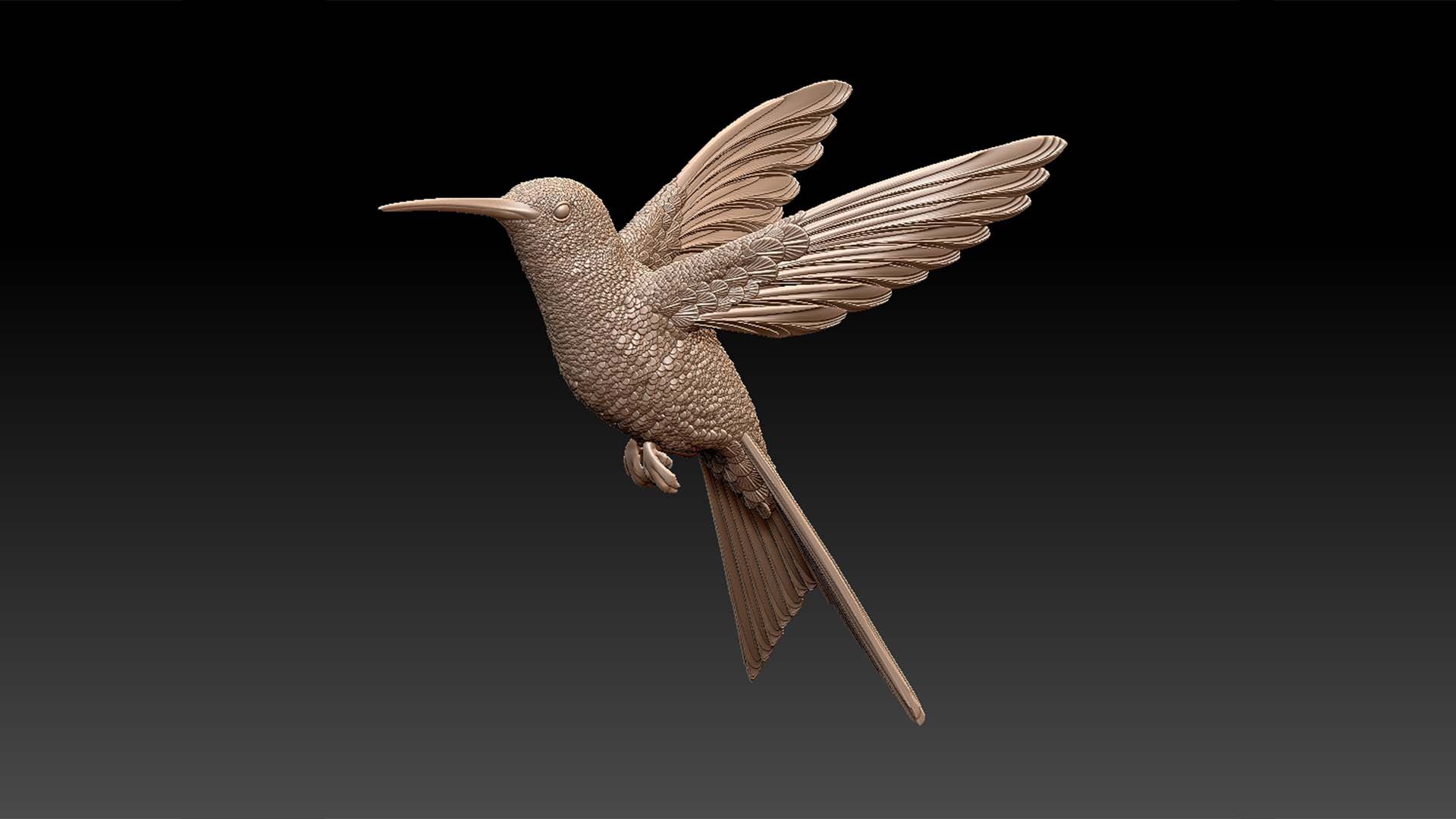 Colibri Humming Bird Model - TurboSquid 1777157