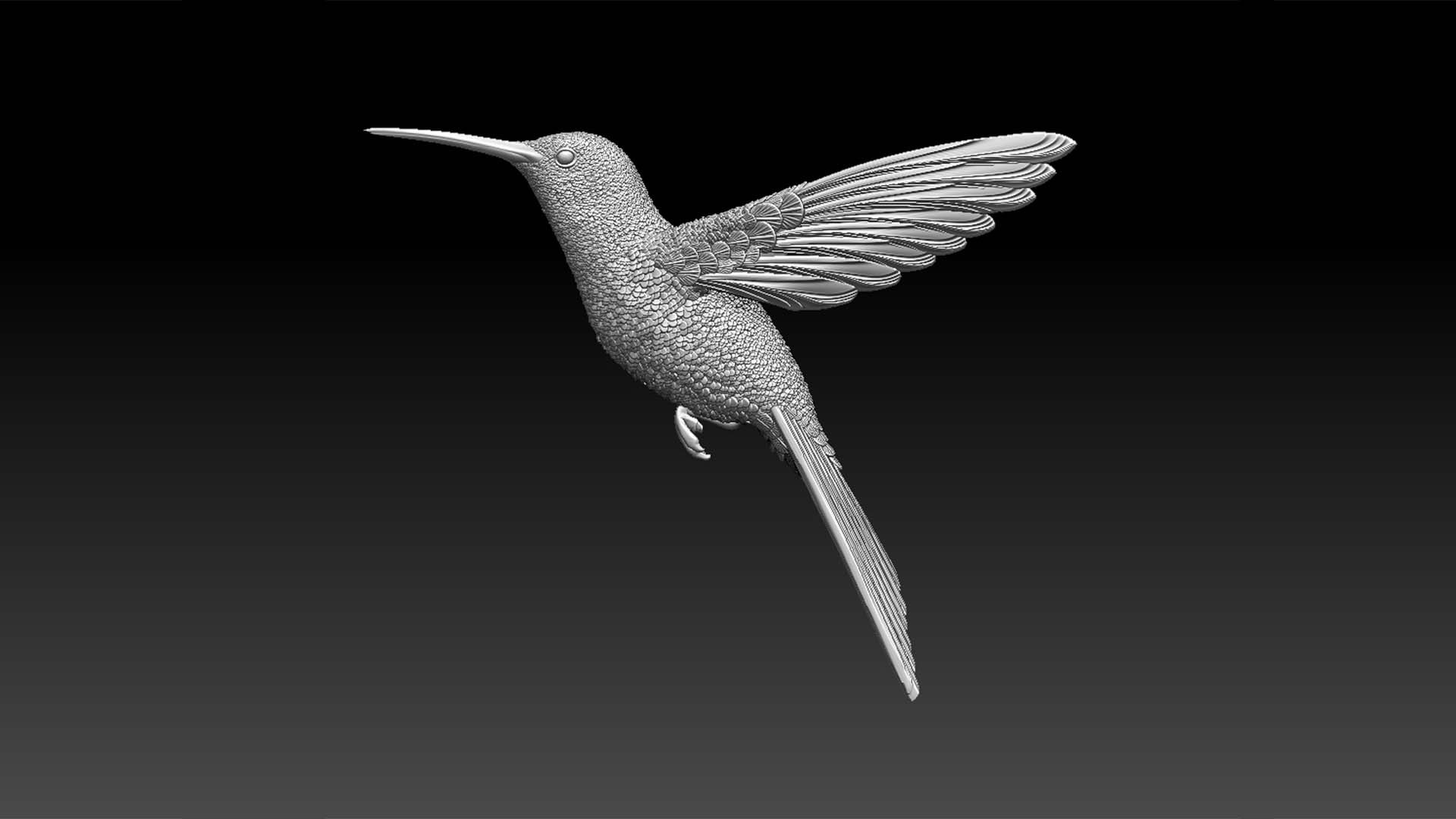 Colibri Humming Bird Model - TurboSquid 1777157