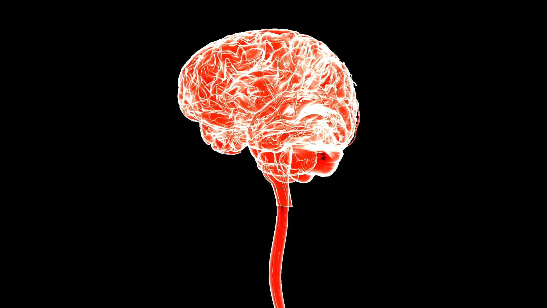 3D Brain Arteries And Veins Model - TurboSquid 1833401