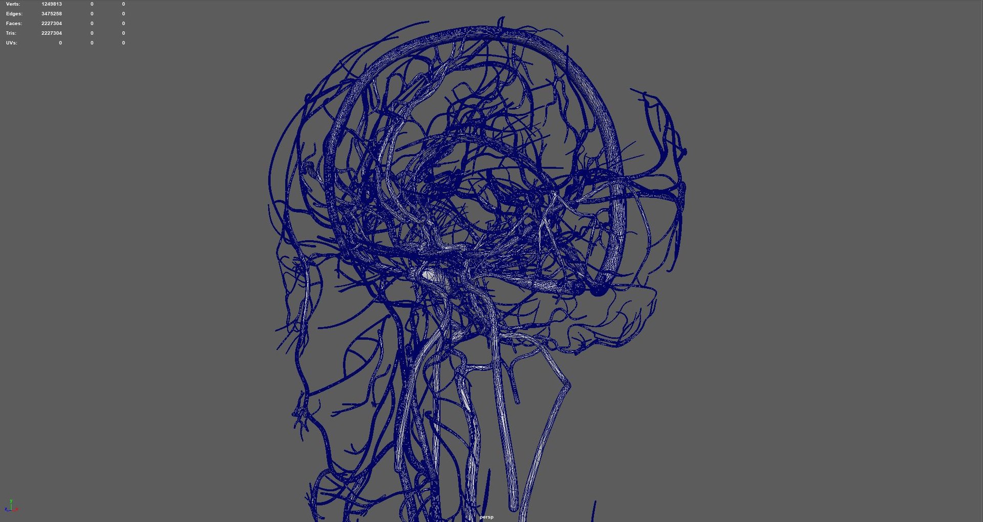 3D Brain Arteries And Veins Model - TurboSquid 1833401