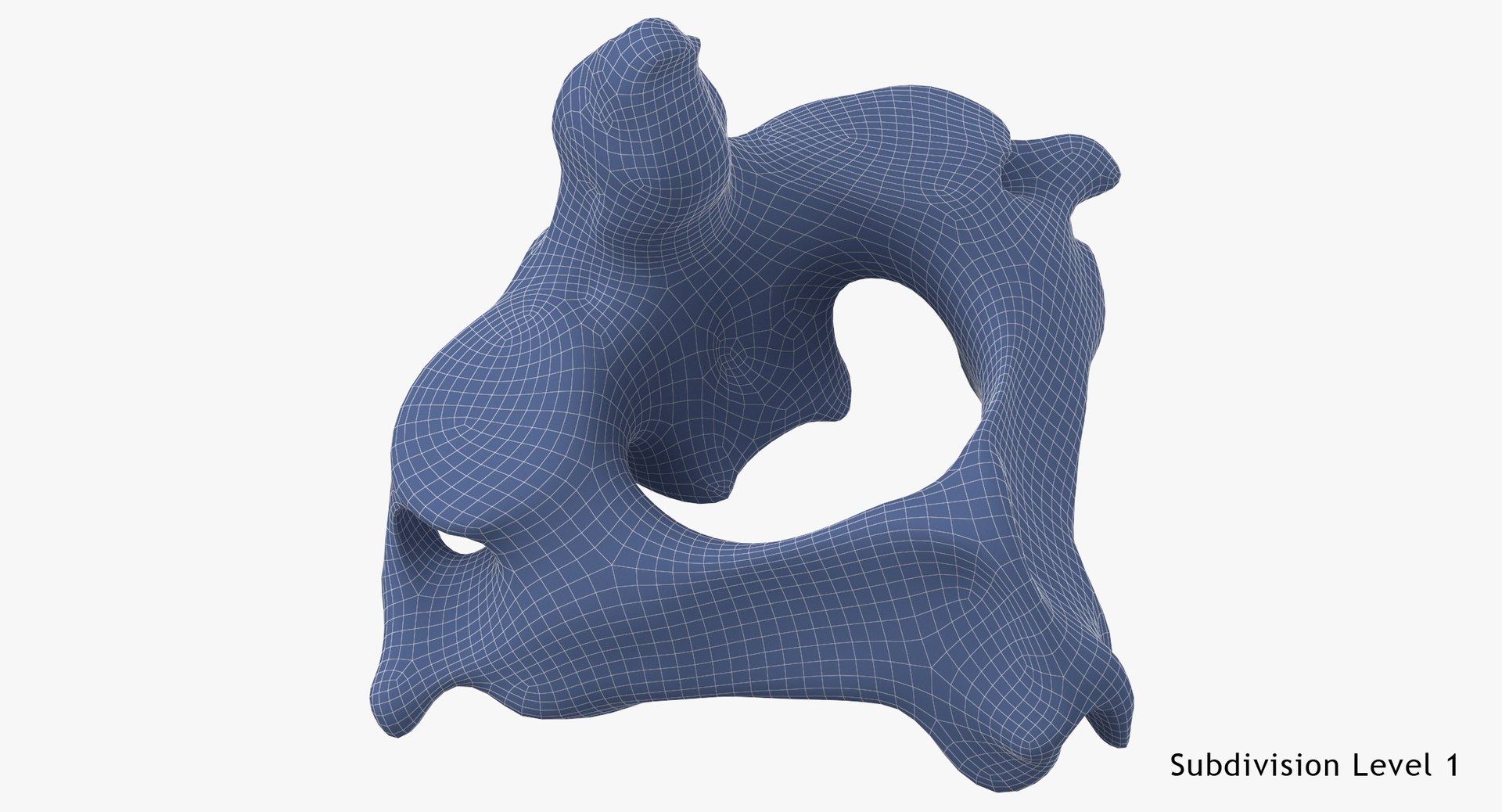 Cervical Vertebrae C2 Axis 3D Model - TurboSquid 1574022