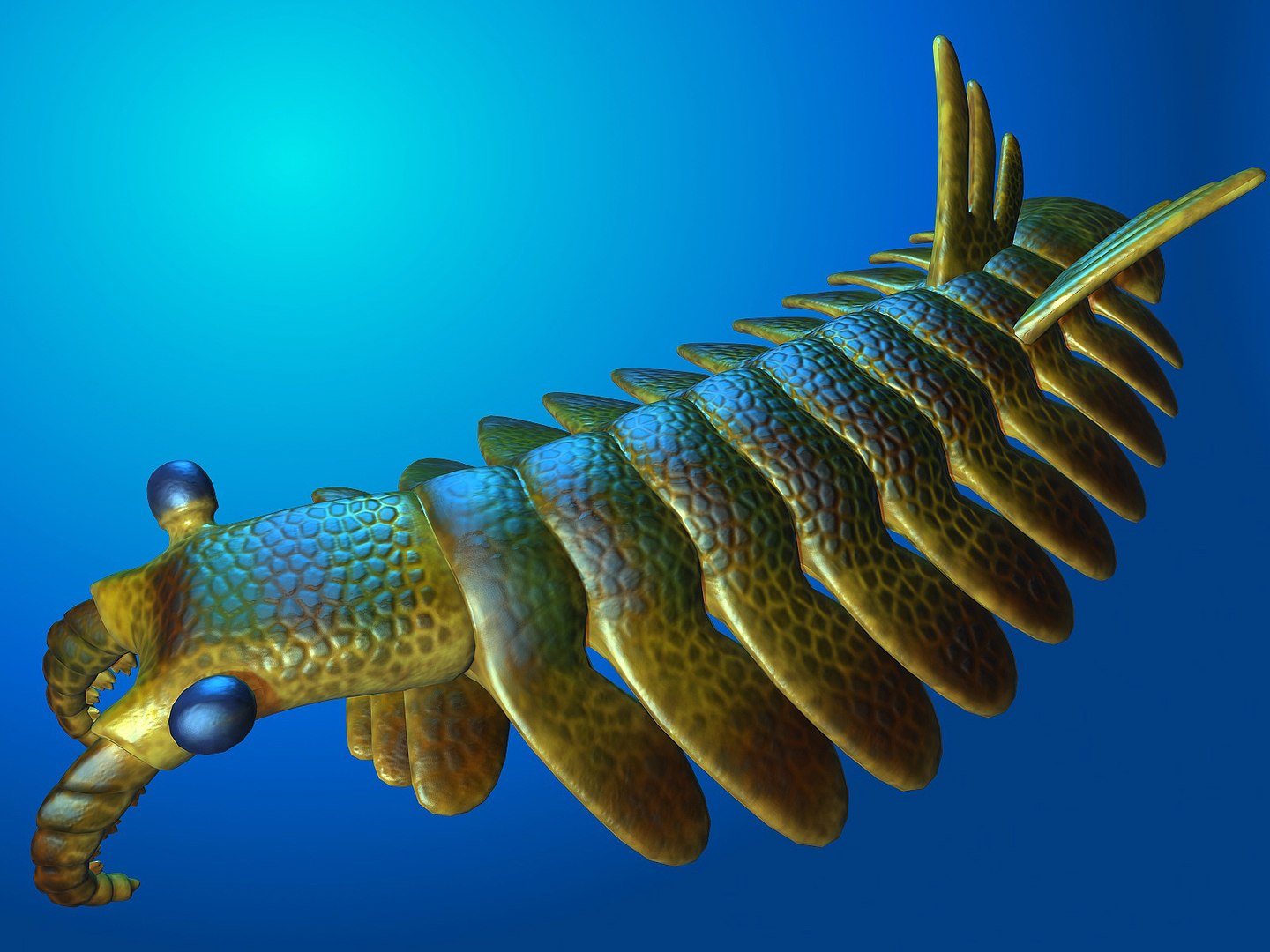 Max Anomalocaris Extinct Arthropods