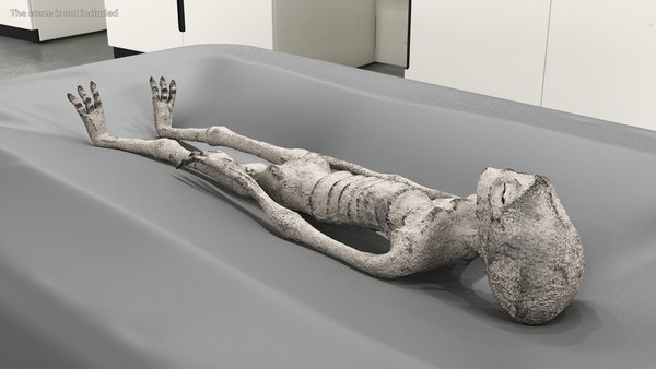 modelo 3d Momia alienígena - TurboSquid 2156996