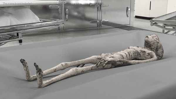 modelo 3d Momia alienígena - TurboSquid 2156996