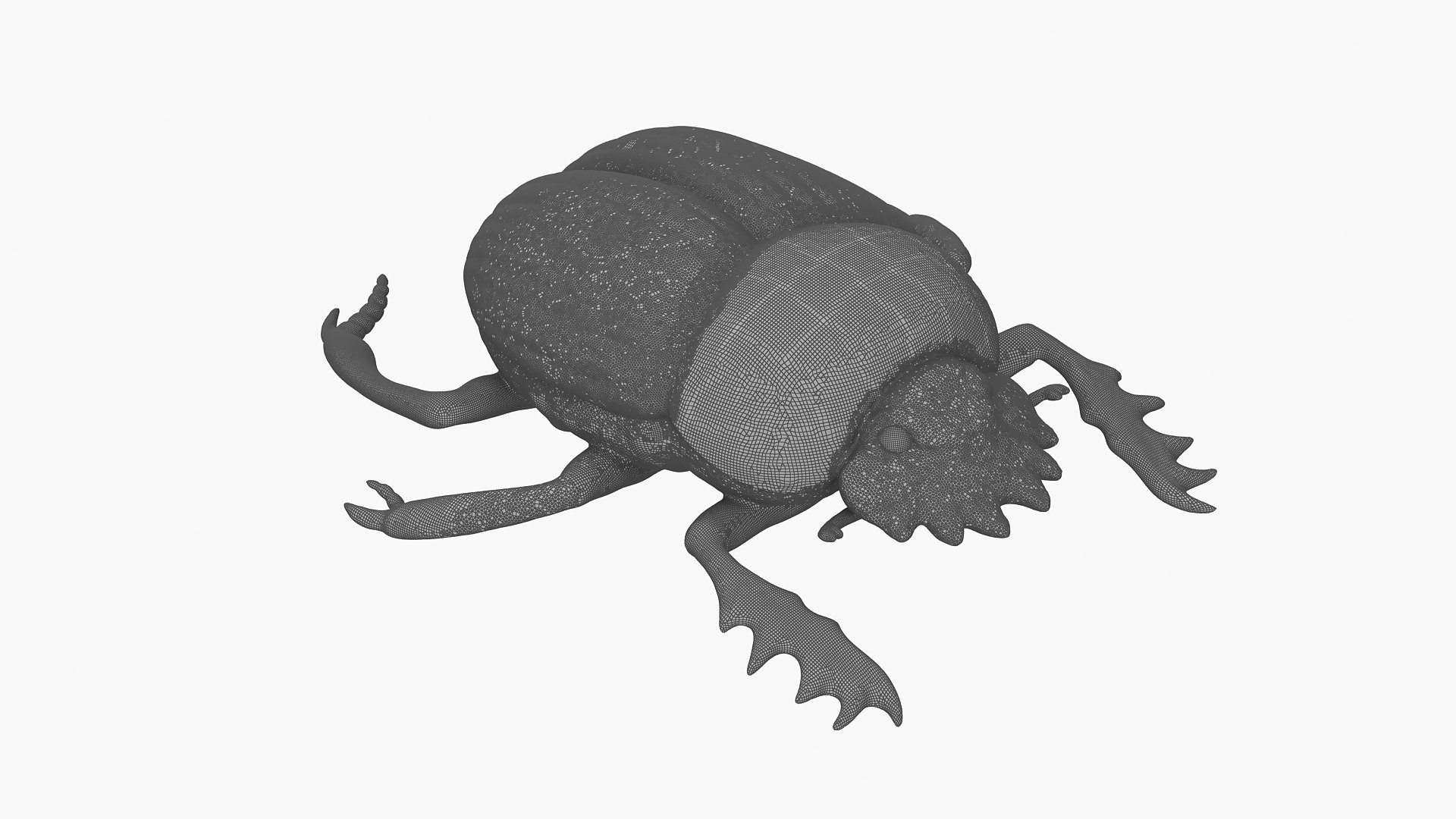 Scarab V1 3d Printable Model - TurboSquid 2104223