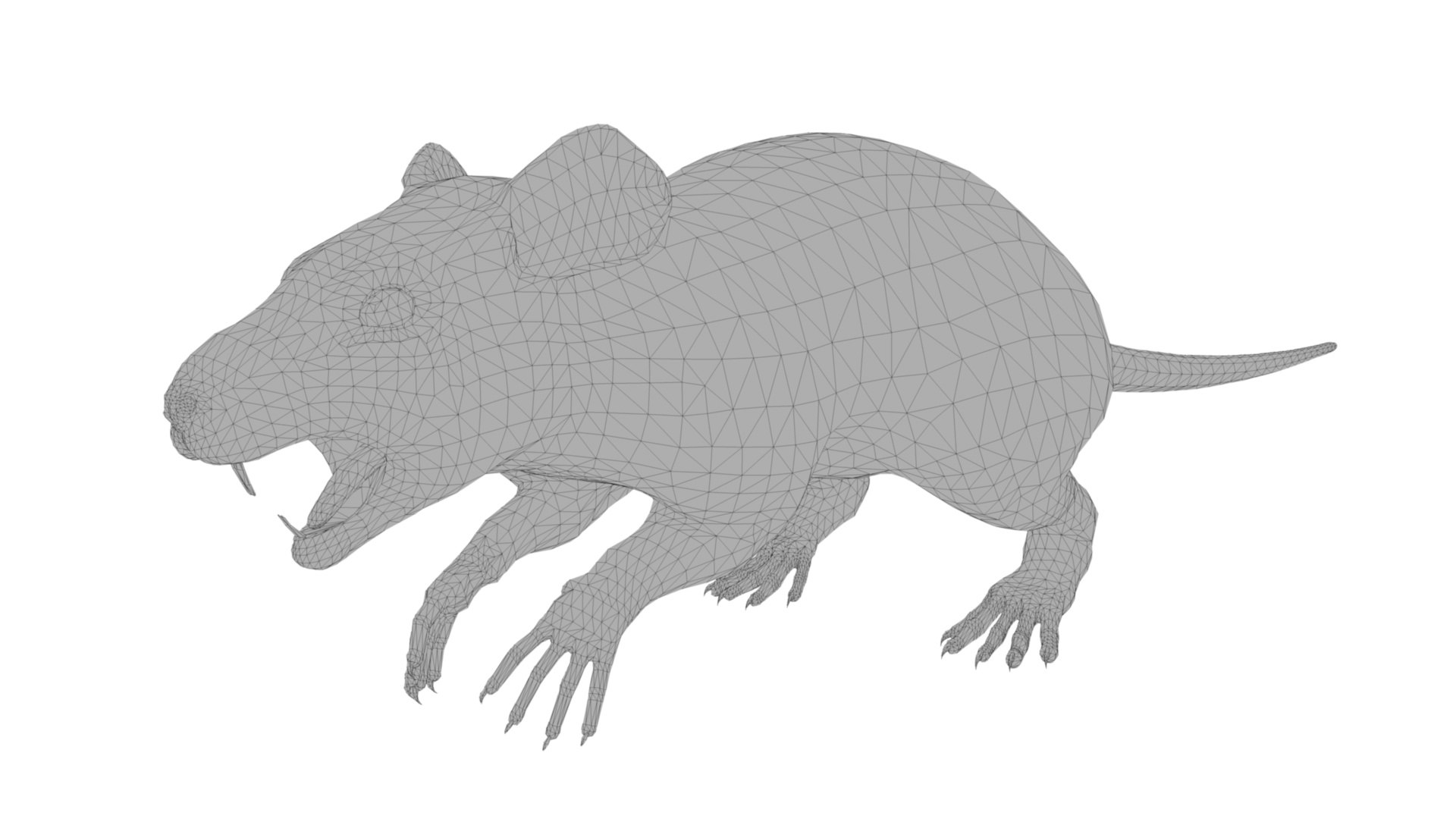 3D Black Rat Model - TurboSquid 2023521