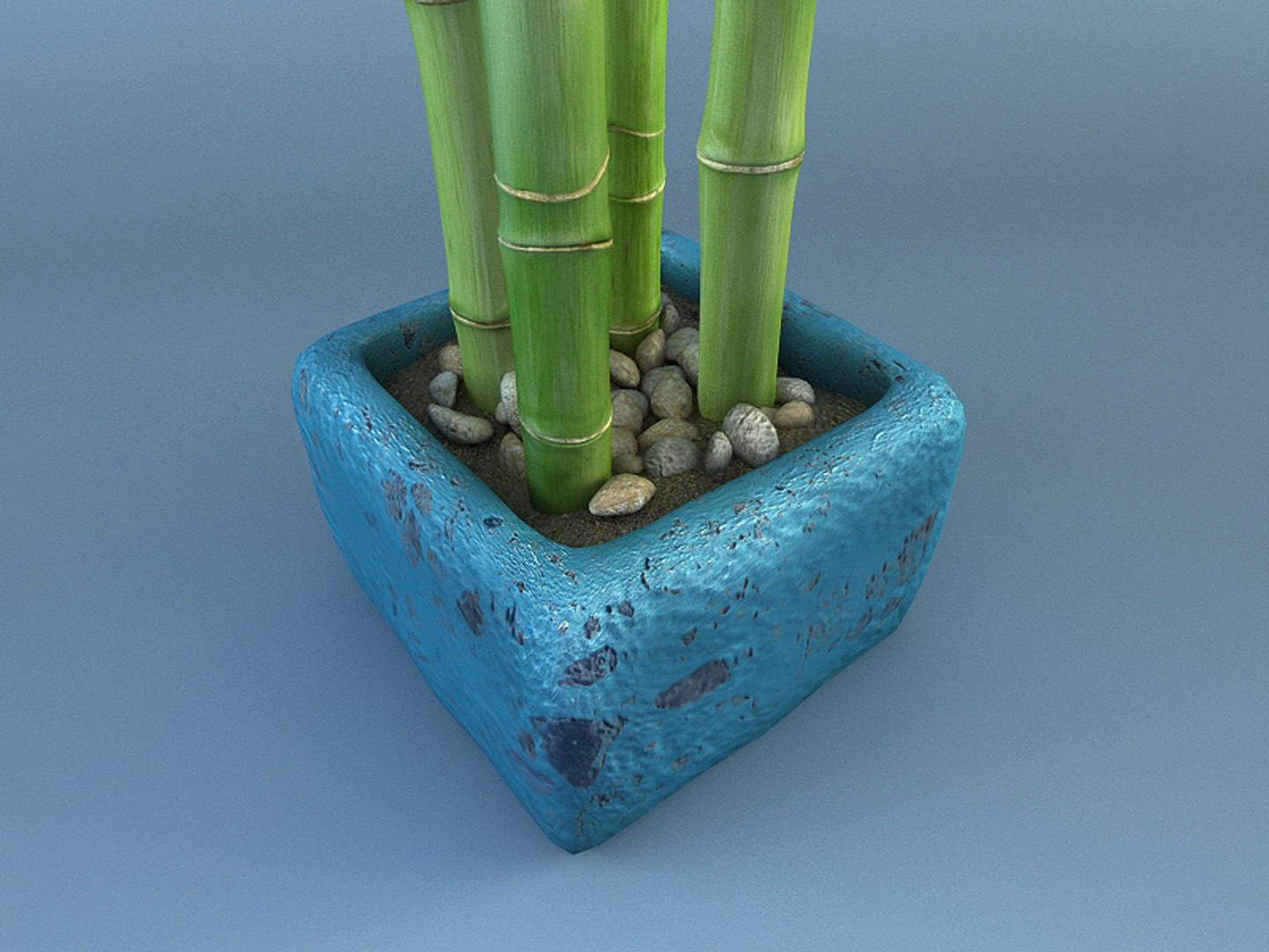 Bamboo Plant 3d Model
