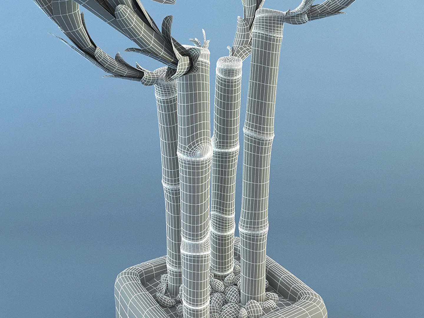 Bamboo Plant 3d Model