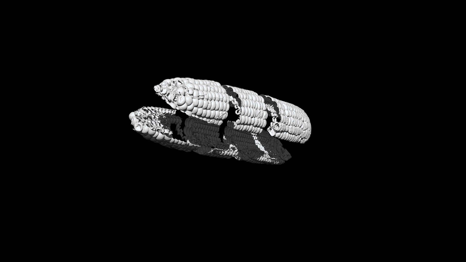 Corn 3D CT Scan Model Cut3 Decimate 30 Percent 3D Model - TurboSquid ...