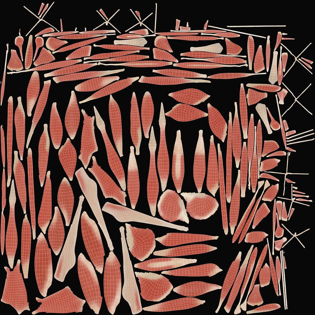 3D Human Male Muscular System - TurboSquid 2015240