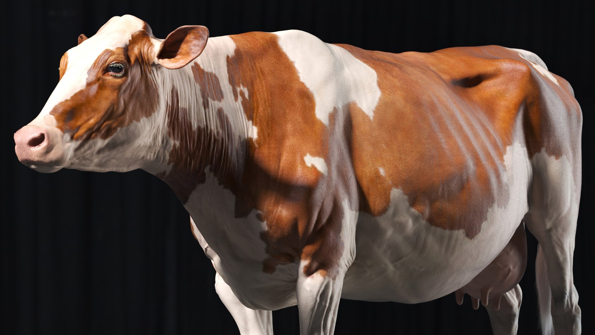 Bull Head Realistic 3D Model - TurboSquid 1399392