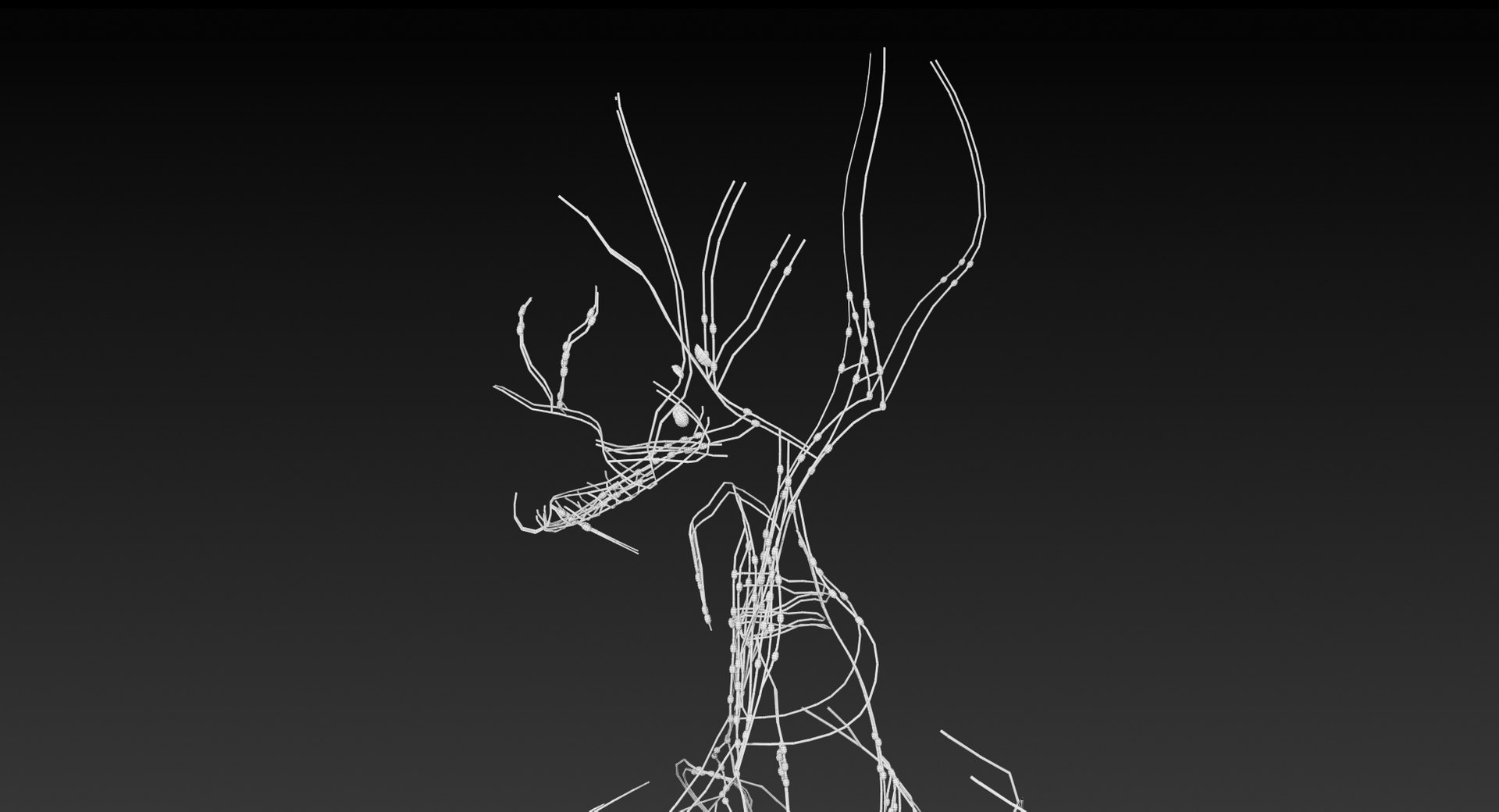 Realistic lymphatic model - TurboSquid 1411940