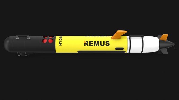 REMUS 100 无人水下航行器3D模型 - TurboSquid 2176474