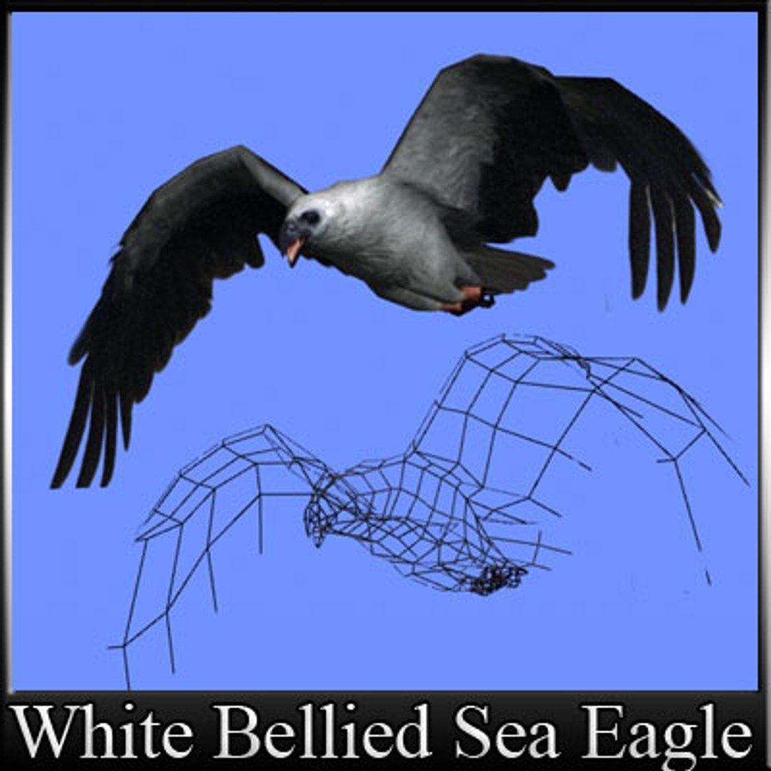 american eagle der adler 3d 3ds