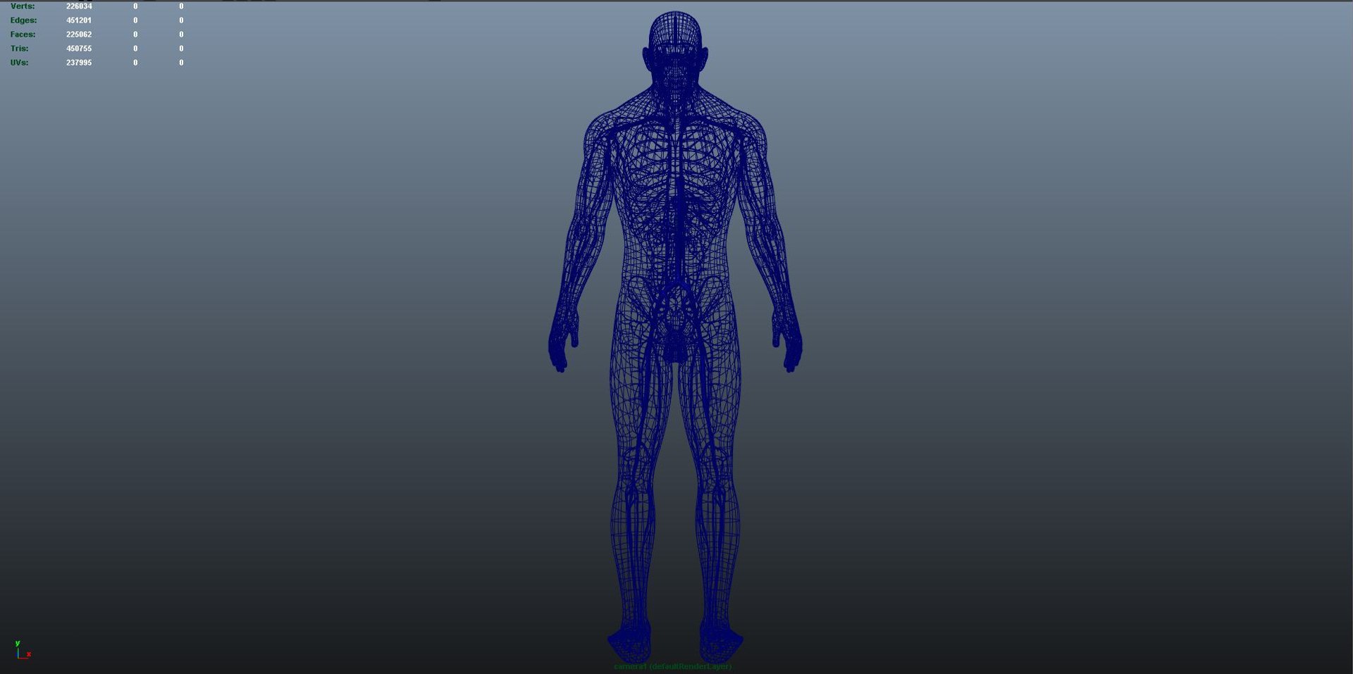 Body Veins Lymphs 3D Model - TurboSquid 1217413