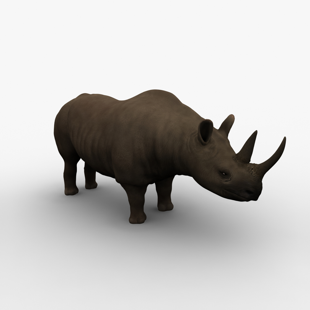 rhino rhinoceros 3d model