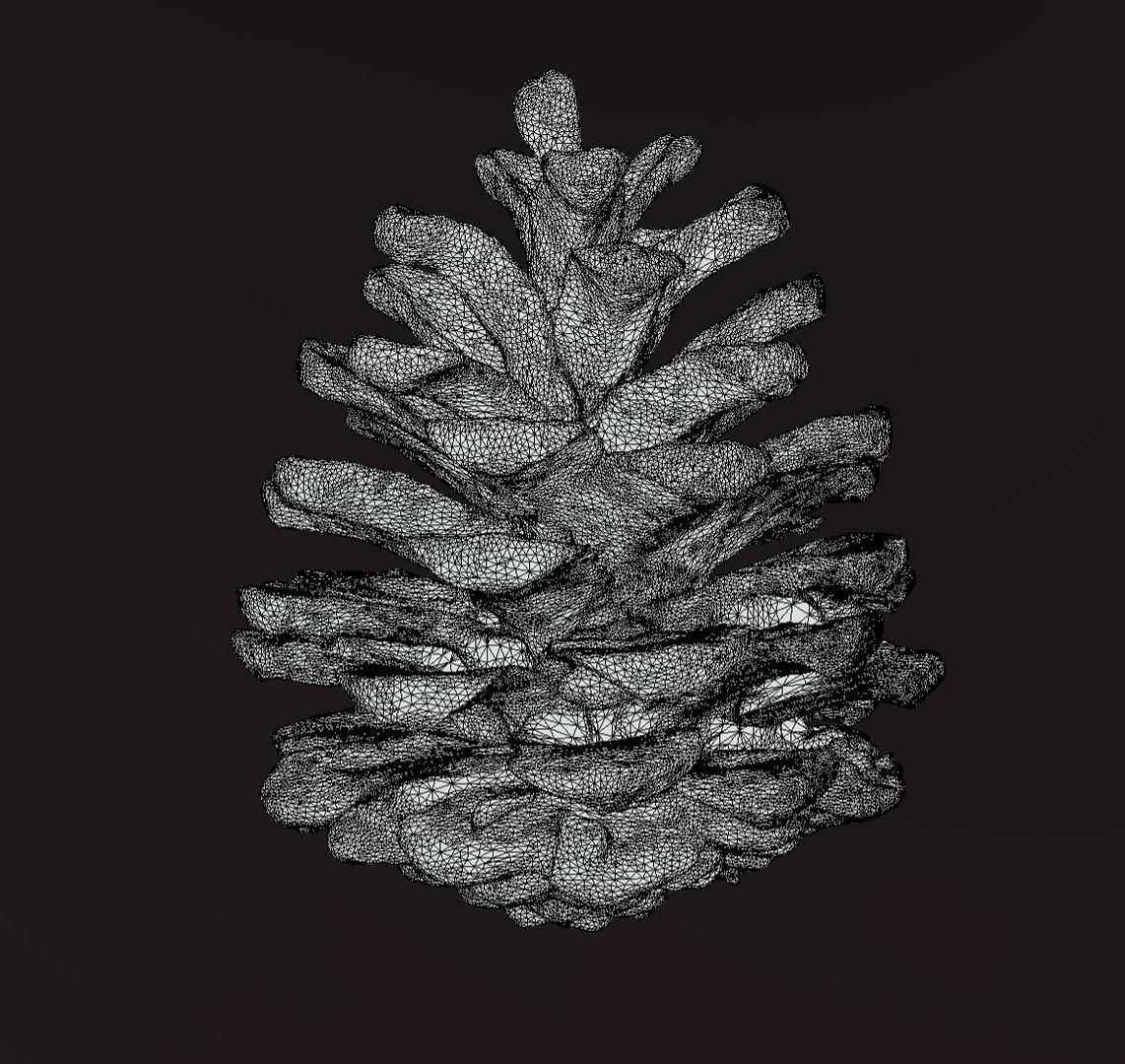 3D Pine Cone Model - TurboSquid 1306971