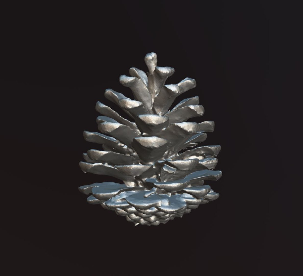 3D Pine Cone Model - TurboSquid 1306971