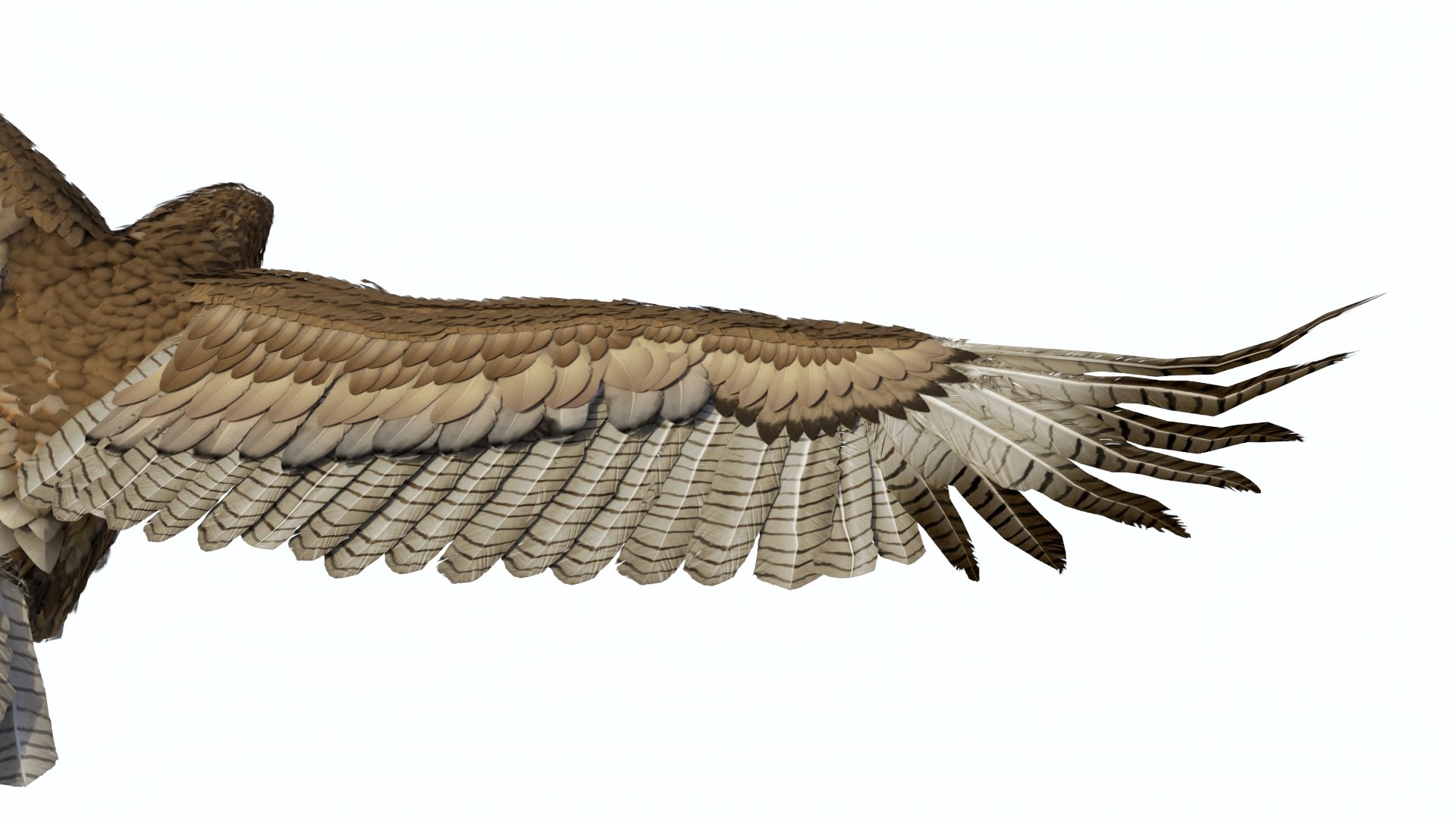 Flying Gurney Eagle Model - TurboSquid 2249976