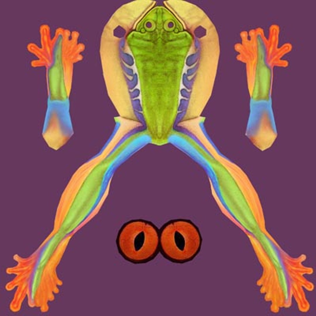 Red Eyed Tree Frog 3d Model