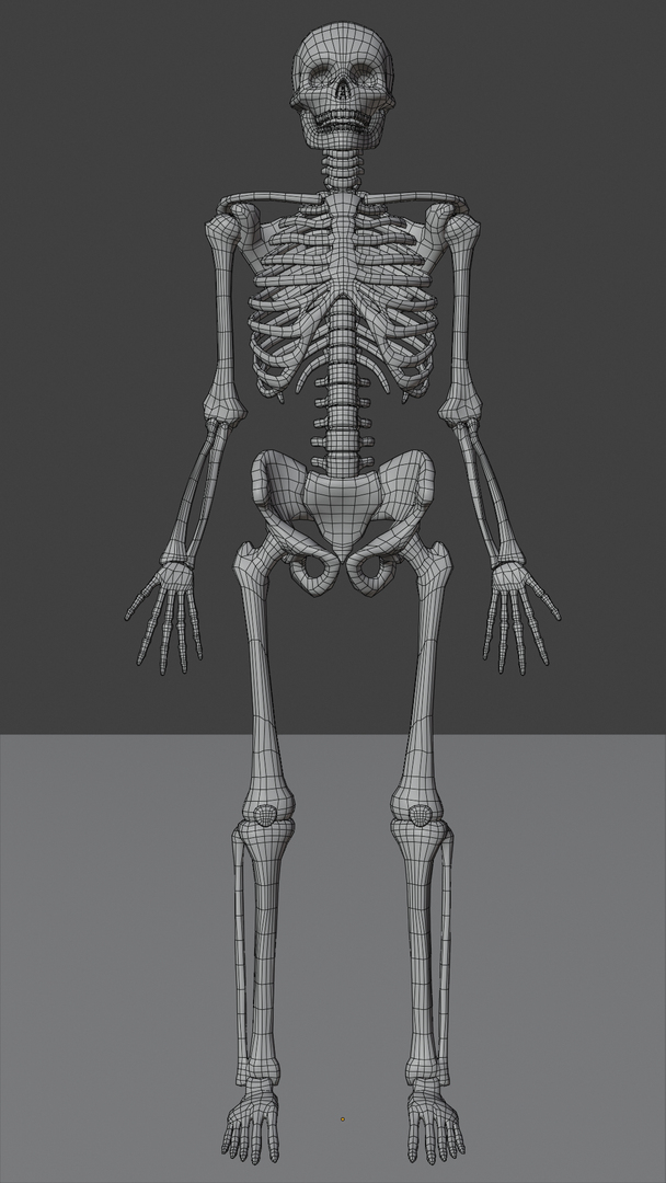 3D Model Rigged Skeleton - Videogame - TurboSquid 1657366