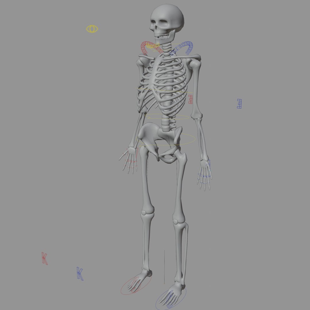3D Model Rigged Skeleton - Videogame - TurboSquid 1657366