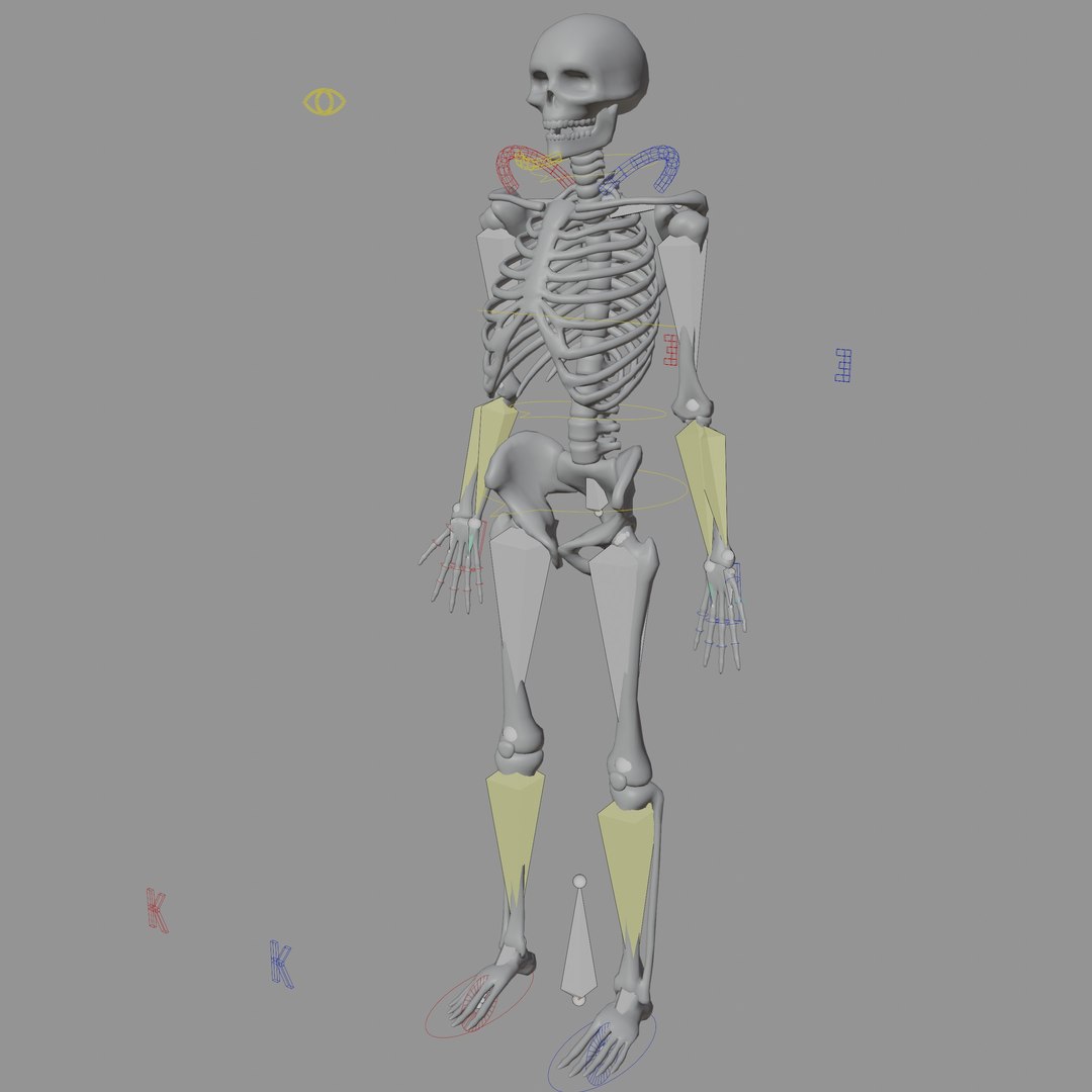 3D Model Rigged Skeleton - Videogame - TurboSquid 1657366