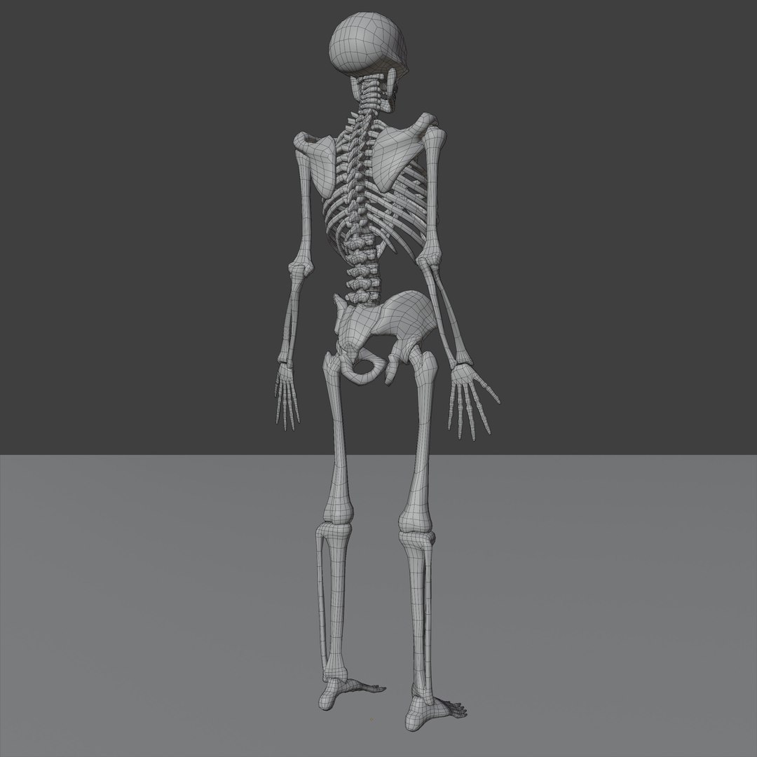 3D Model Rigged Skeleton - Videogame - TurboSquid 1657366