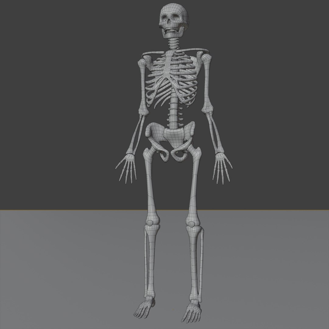 3D Model Rigged Skeleton - Videogame - TurboSquid 1657366