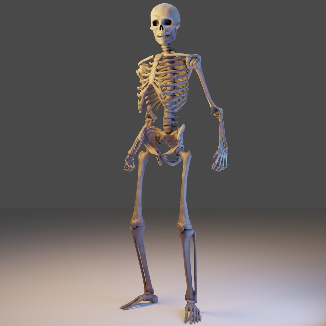 3D Model Rigged Skeleton - Videogame - TurboSquid 1657366