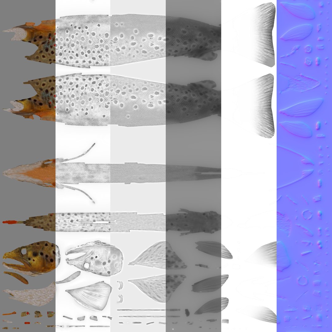 Brown Trout 3D Model - TurboSquid 1414612