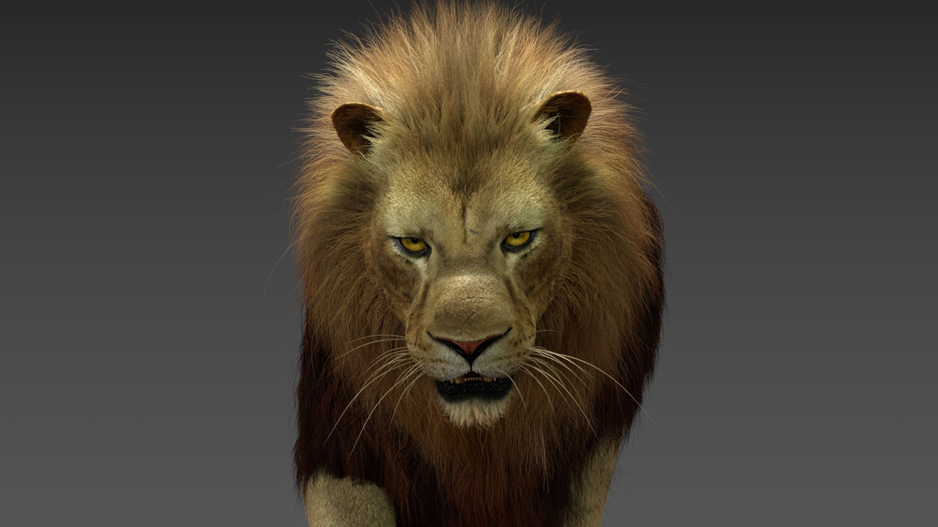 Photo Realistic Lion 3 3D - TurboSquid 1493150