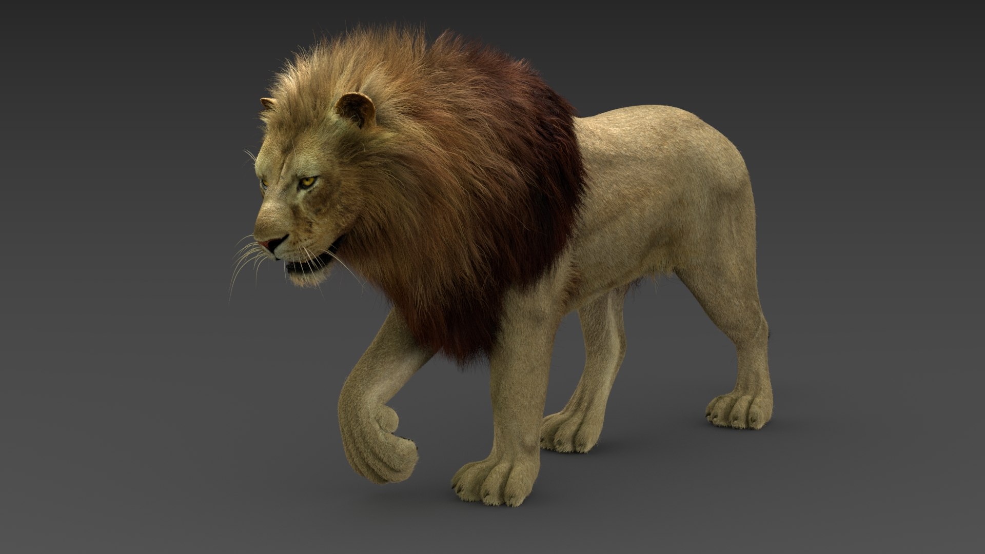 Photo Realistic Lion 3 3D - TurboSquid 1493150