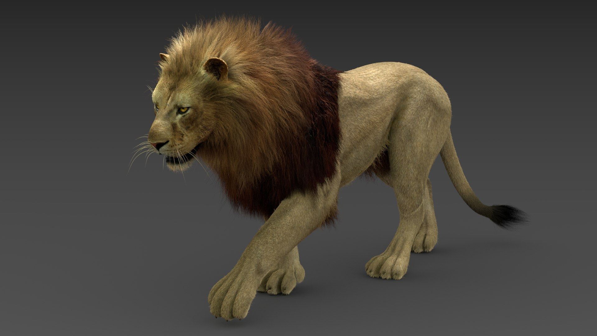 Photo Realistic Lion 3 3D - TurboSquid 1493150