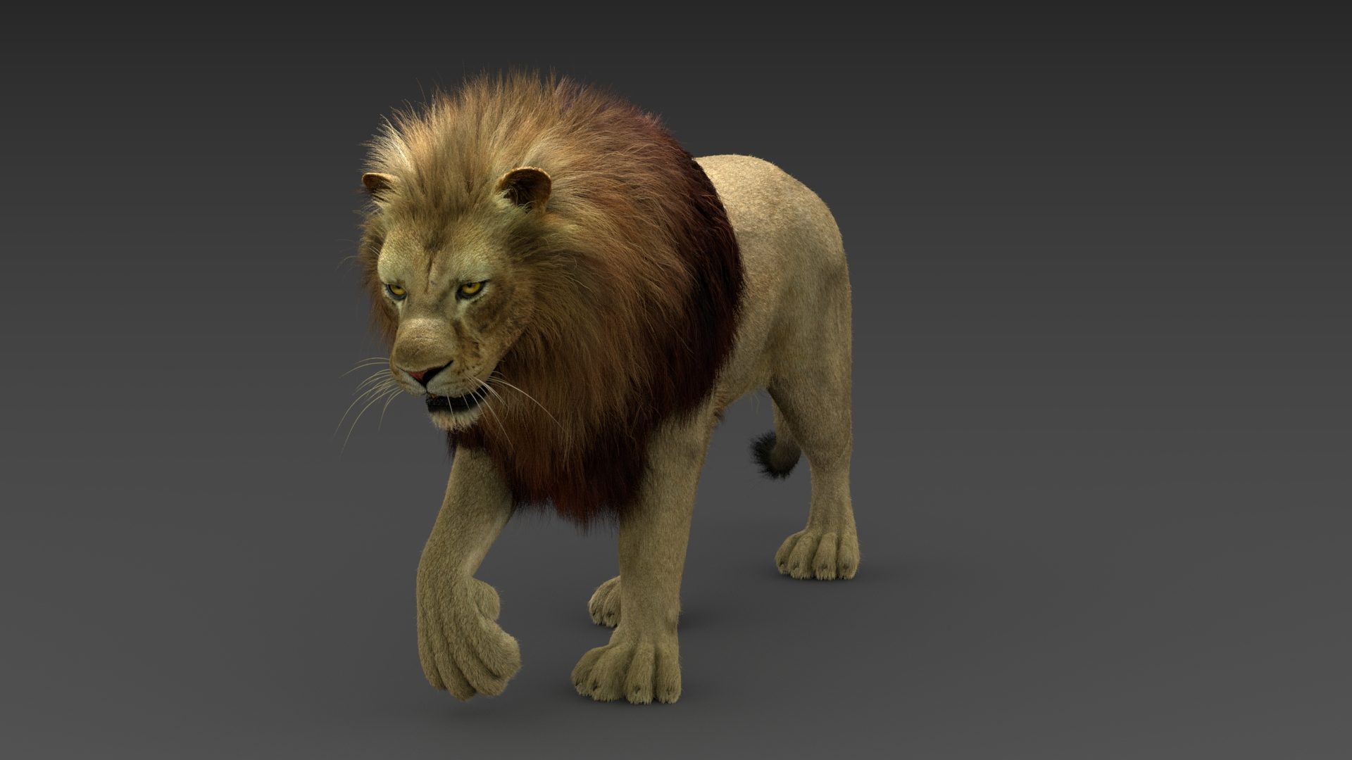 Photo Realistic Lion 3 3D - TurboSquid 1493150