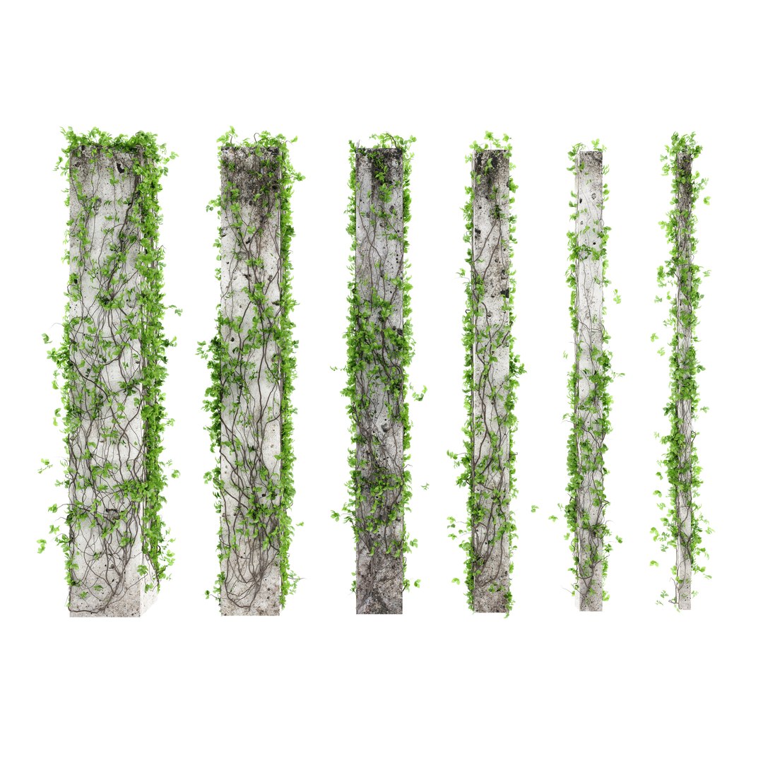 3d Leaves Square Columns Model