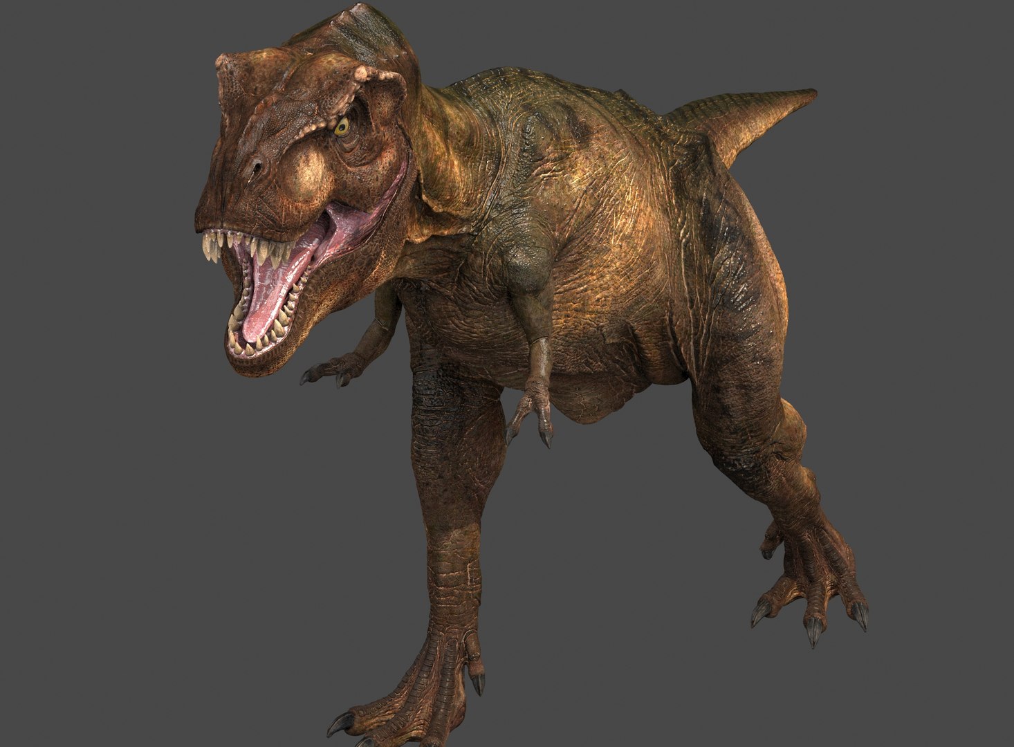 Tyrannosaurus 3d Model