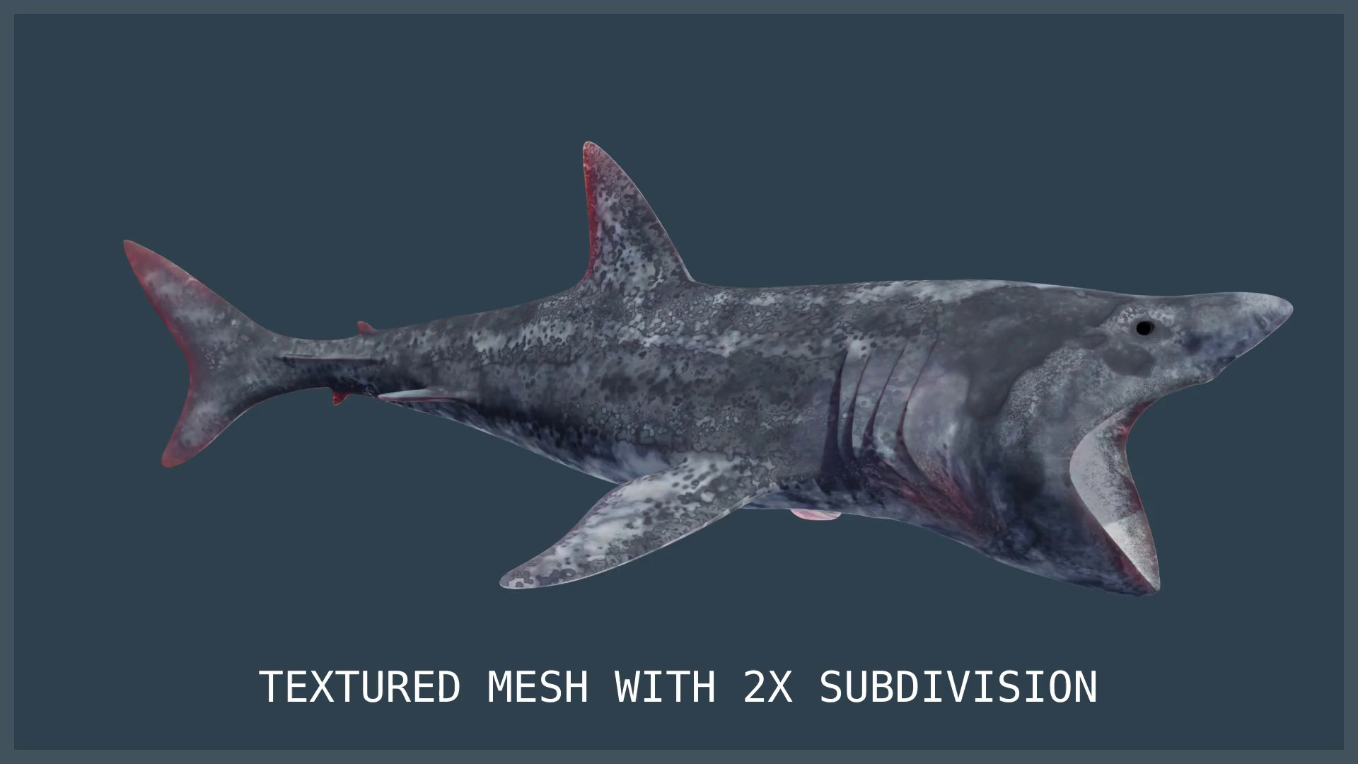 Animated Basking Shark model - TurboSquid 2044440